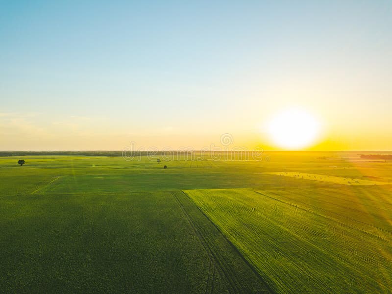 Agriculture Fields in Lithuania Stock Image - Image of harvest, plant ...