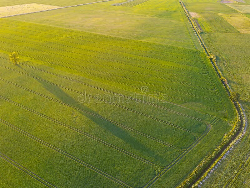 Agriculture Fields in Lithuania Stock Photo - Image of rural, drone ...