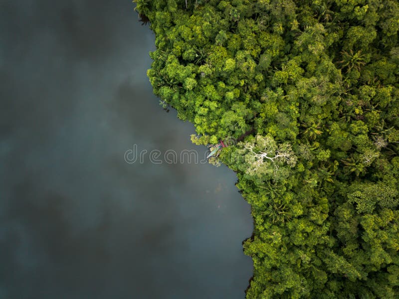 Drone Shot of Jungle before the Rain Stock Image - Image of landscape ...