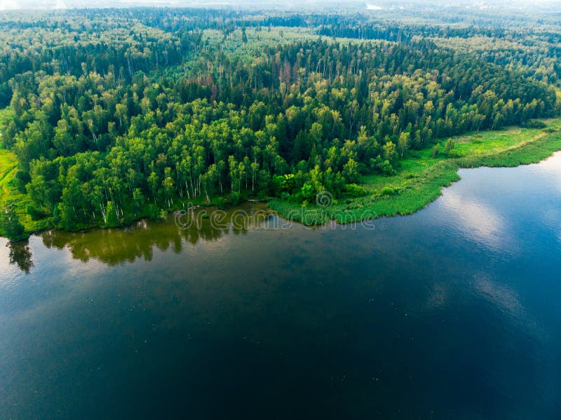 Drone Shot of a Lake and Forest Shore Stock Image - Image of light ...