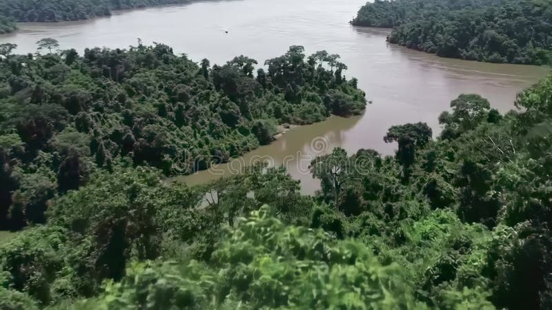 Drone Shot of a Rainforest, Characterized by Its Dense Vegetation and ...