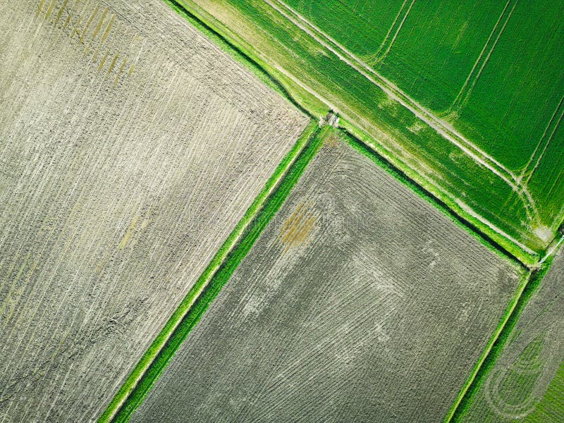 Drone Top Down View of Farm Fields Showing Both Fresh Crops Growing ...
