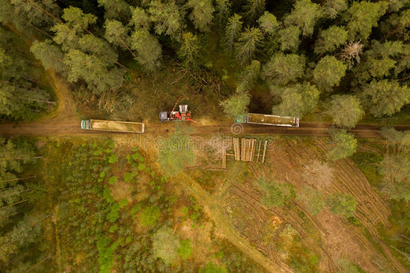 Drone Top Down View of Small Scale Forestry Project Stock Image - Image ...