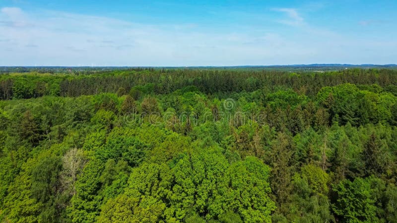 Drone View from Above of Green Mixed Forests in Northern Germany Stock ...