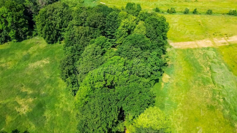 Drone View from Above of Green Mixed Forests in Northern Germany Stock ...