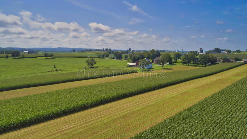 Drone View of Amish Countryside with Barns and Silos and Corn, Patch ...