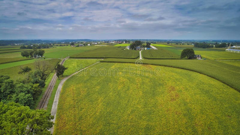 Drone View of Amish Countryside with Barns and Silos and Corn, Patch ...