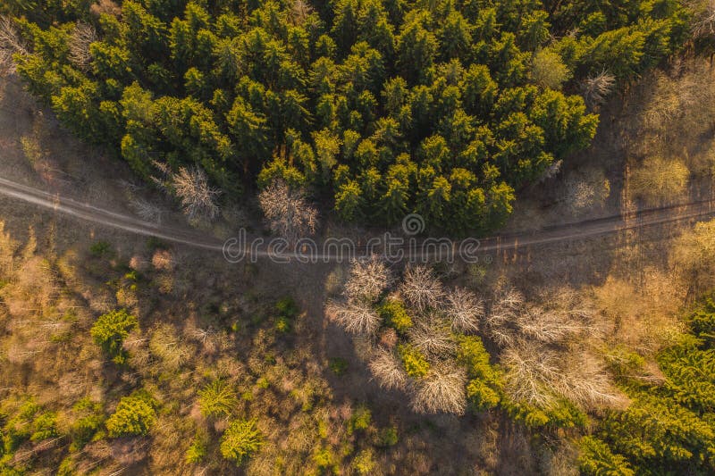 Drone View Dirt Road and Forest during Spring Sunny Day. Stock Image ...