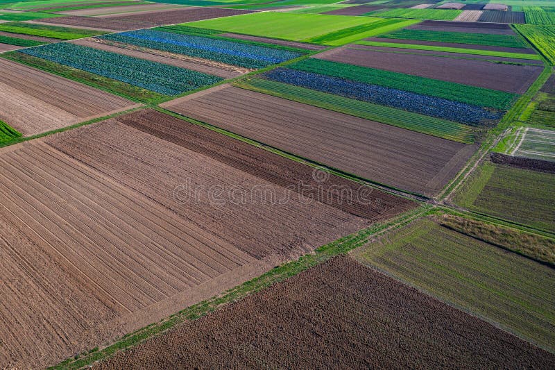 Drone View of Empty Fields in Autumn Stock Image - Image of outside ...