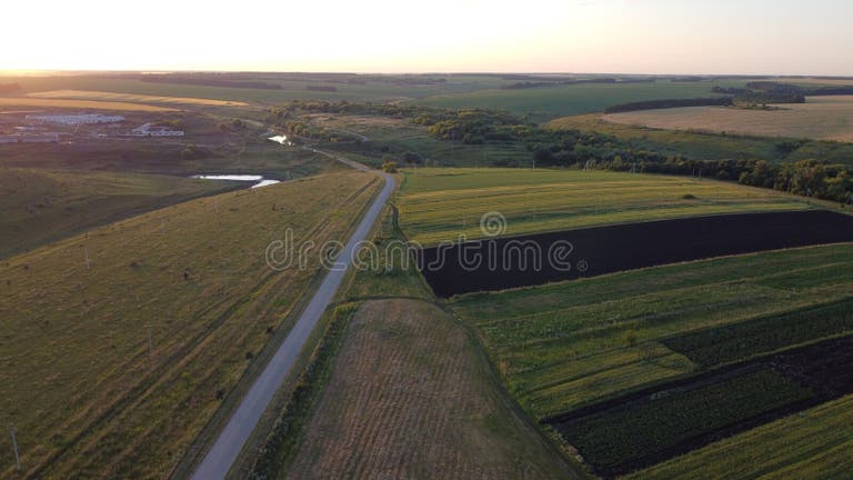 Drone View of Farm Field Crops in the Daylight Stock Image - Image of ...