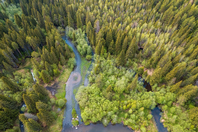 Drone View of the Forest River, Trees and Forest Stock Photo - Image of ...