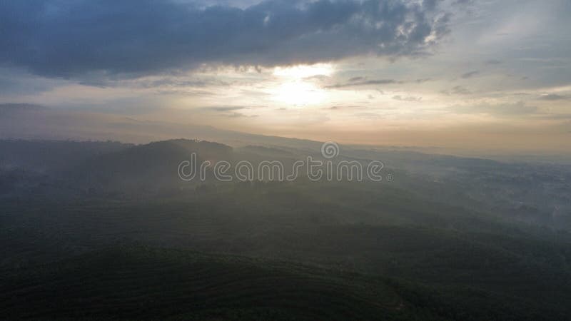 Drone View of Forest and Trees with Mountains Background Sunrise and ...