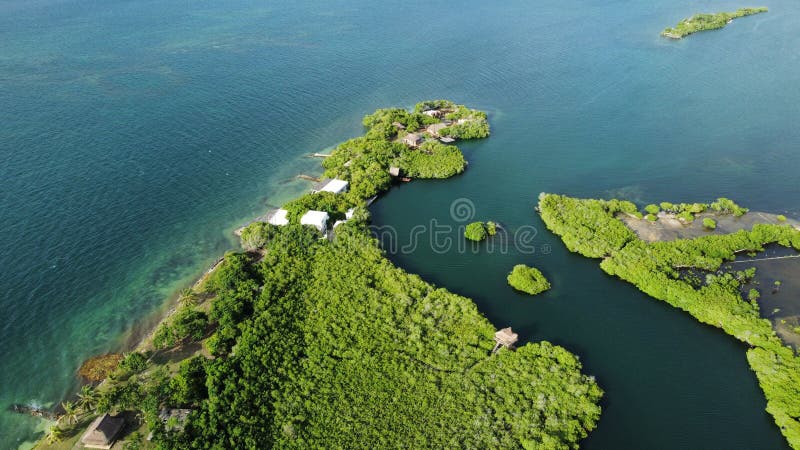 Drone View of a Jungle Next To the Ocean Stock Image - Image of ...
