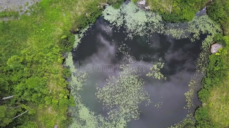 Drone View, Looking Straight Down Over a Pond Flying Away from the ...