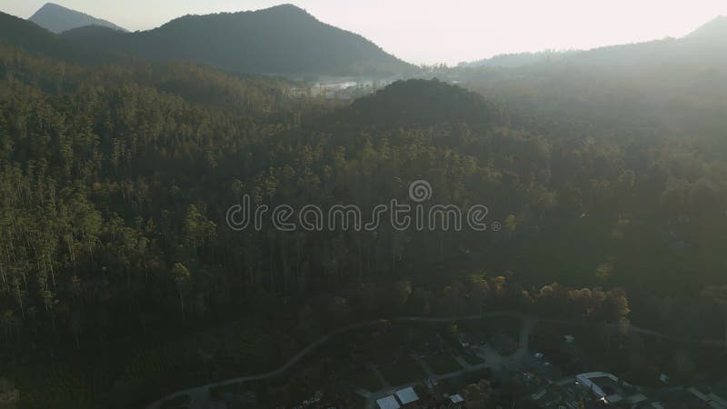 Drone View of Lush, Forested Mountains Under a Warm Sunlight and Hazy ...