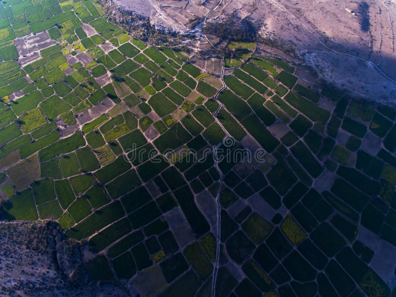 Overview of Arid Farm Lands Stock Image - Image of punjab, agri: 141141487