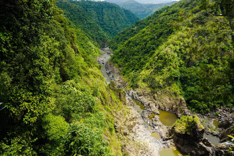 Drone View of the Nature Scene with a River Surrounded by High, Green ...