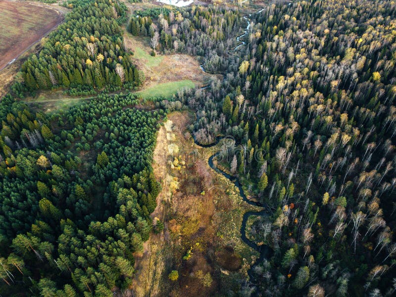 Drone View on River and Forest in Russia Stock Photo - Image of nature ...