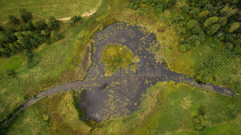 Drone View of River and Swamp Stock Photo - Image of park, beauty ...