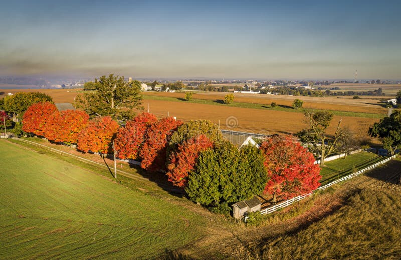 Drone View of a Row of Trees with Fall Bright Colors on a Early Morning ...