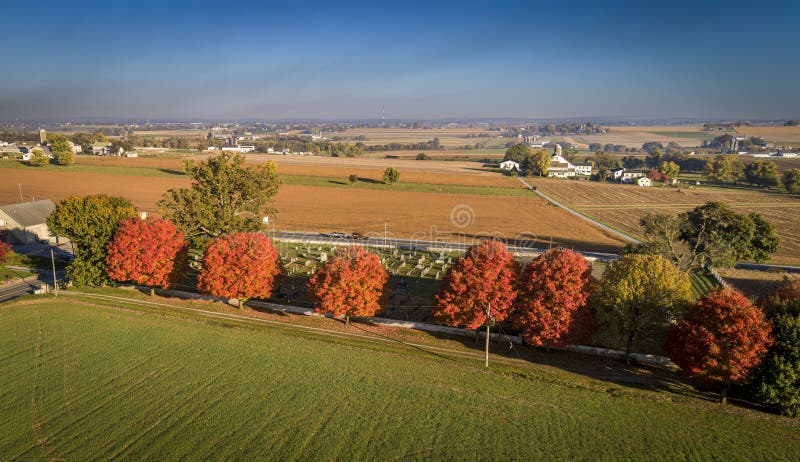 Drone View of a Row of Trees with Fall Bright Colors on a Early Morning ...
