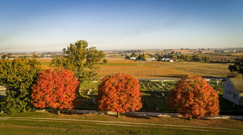 Drone View of a Row of Trees with Fall Bright Colors on a Early Morning ...