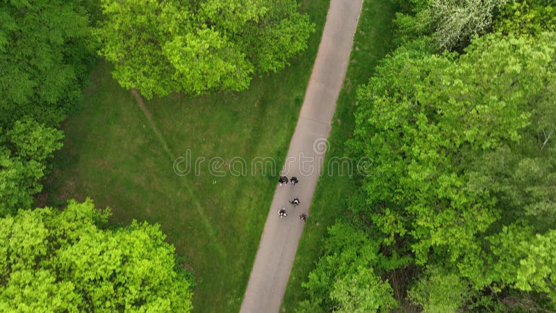 Drone View of a Small Pedestrian Bridge and Curved Pathway Cutting ...