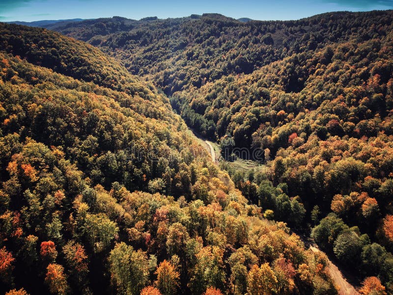 Drone View of Stunning Colorful Autumn Fall Forest at Sunset Stock ...
