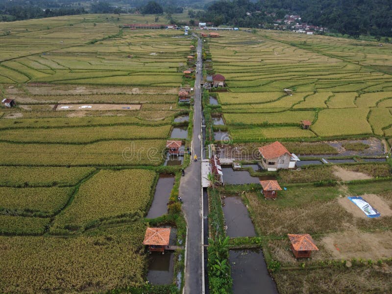 The Drone View of Svarga Minipadi in Banyumas Regency Editorial ...