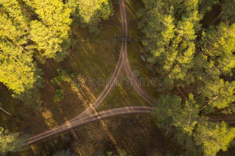 Drone View of Tree Way Dirt Road Intersection in a Forest Stock Photo ...