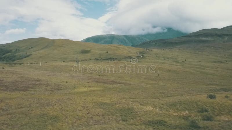 Drone View of the Trees on the Scenic Hillside Stock Footage - Video of ...
