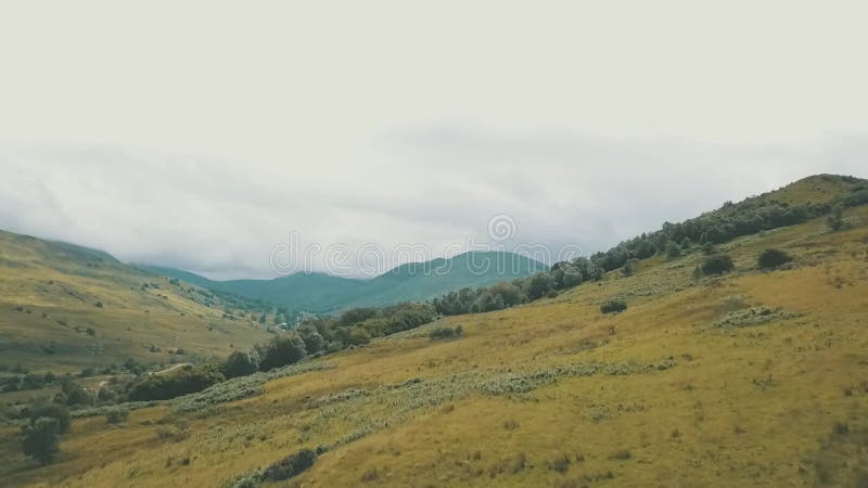 Drone View of the Trees on the Scenic Hillside Stock Video - Video of ...