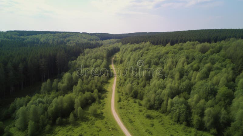 Drone View of Forest with One Road Generative Ai Stock Illustration ...