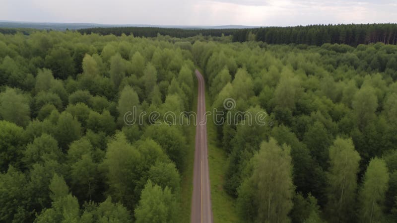 Drone View of Forest with One Road Generative Ai Stock Illustration ...