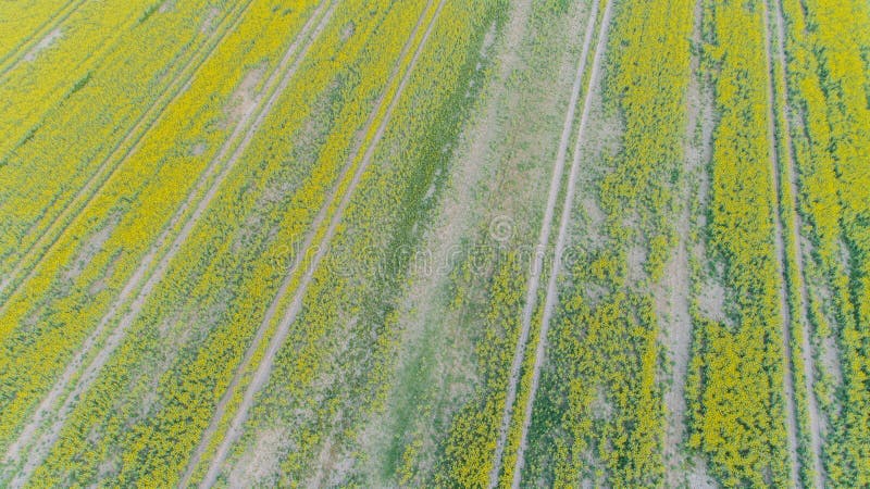 Drones Flight and Aerial View Over a Field Stock Image - Image of ...