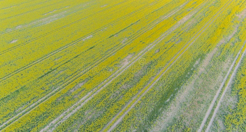 Drones Flight and Aerial View Over a Field Stock Image - Image of ...