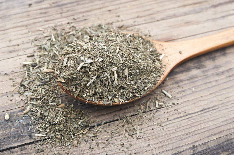 Droog dragonkruid stock afbeelding. Image of installatie - 36209775