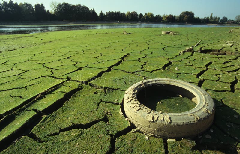 Droogte stock foto. Image of droogte, gebarsten, aarde - 1451218