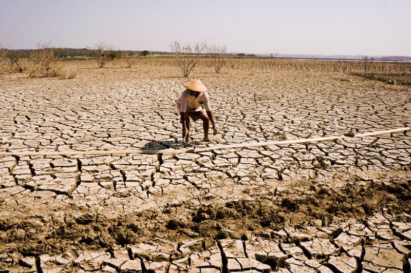Droogte redactionele stock foto. Image of gelopen, geologie - 57462308