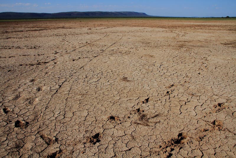 Verwoestende Droogte in Afrika Met Onvruchtbaar Gebied Stock Afbeelding ...