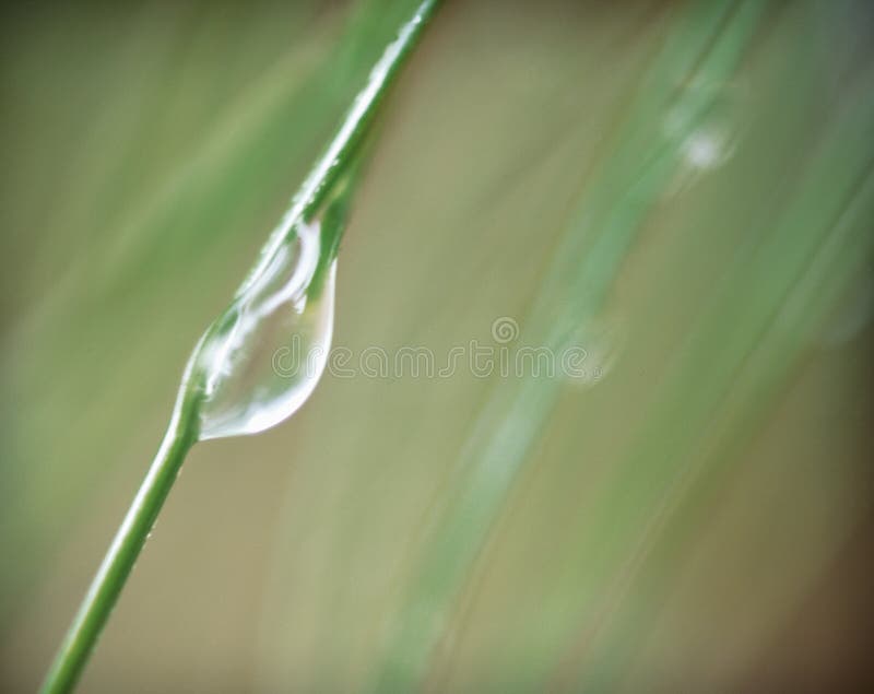 Drop Picture. Image: 1732832