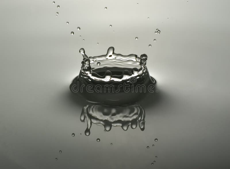 Drop stock photo. Image of plant, close, garden, beautiful - 323390