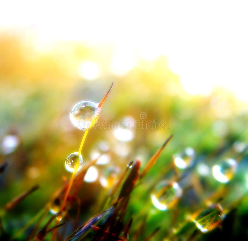 Drop background stock image. Image of background, bead, fretwork - 79997