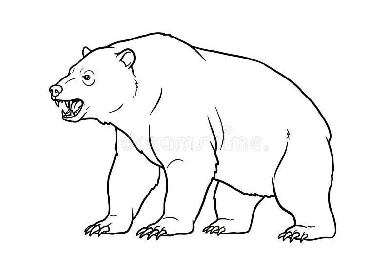 Drop bear drawing stock vector. Illustration of white - 393461631