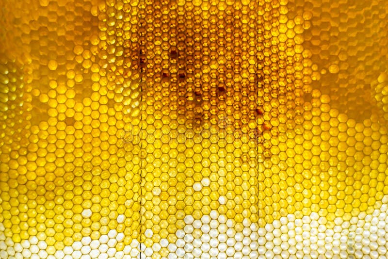 Drop of Bee Honey Drip from Hexagonal Honeycombs Filled with Golden ...