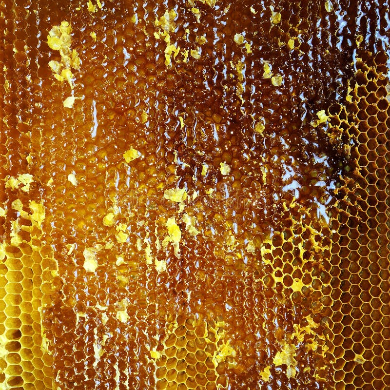 Drop of Bee Honey Drip from Hexagonal Honeycombs Filled with Golden ...