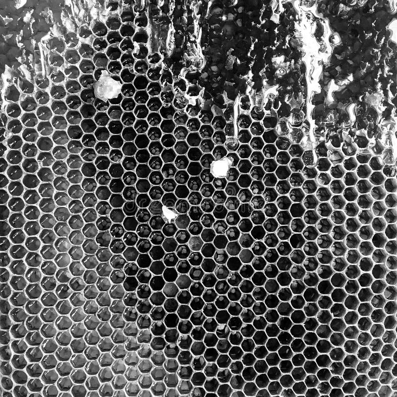 Drop of Bee Honey Drip from Hexagonal Honeycombs Stock Photo - Image of ...