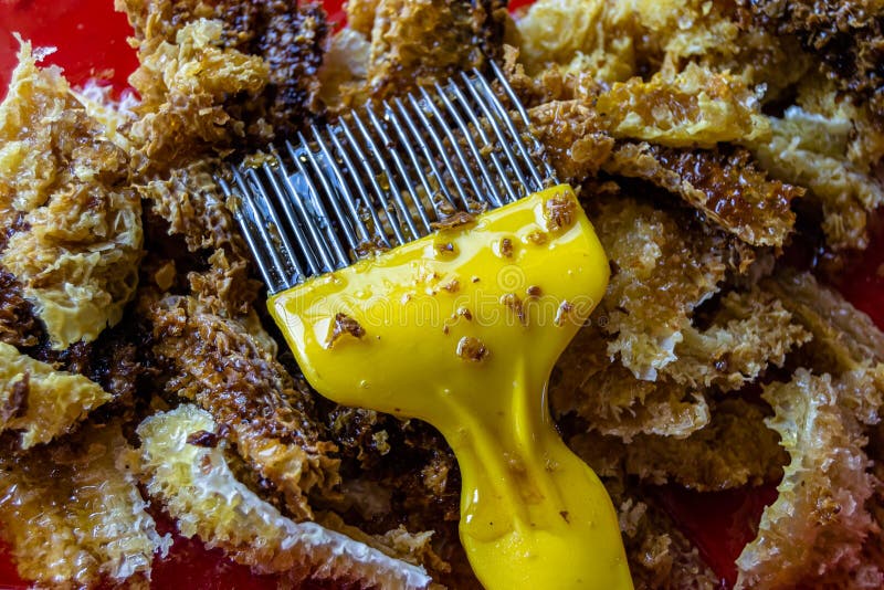 Drop of Bee Honey Drip from Hexagonal Honeycombs Filled with Golden ...