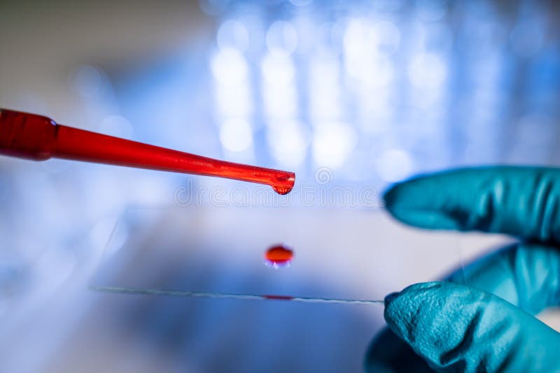 Drop of Blood on a Glass Slide Using Micropipette Microtip Stock Photo ...