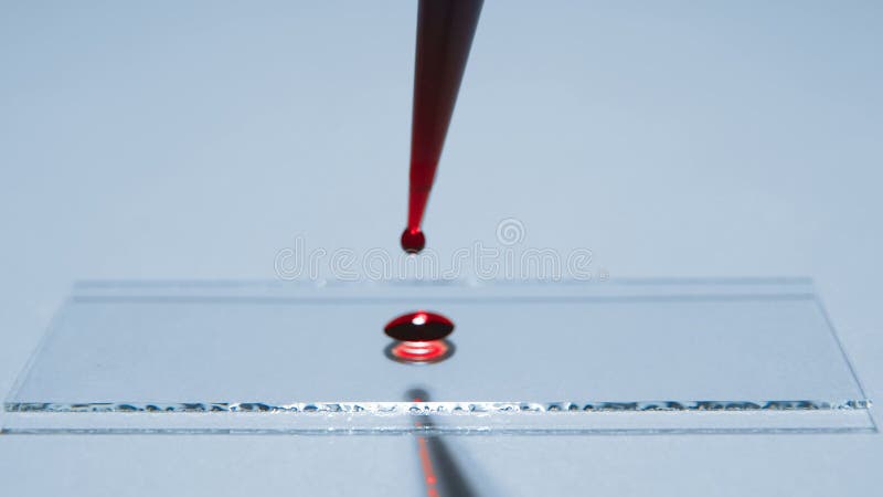 Drop of Blood between Two Microscope Slides, Microscope Glass, Sample ...